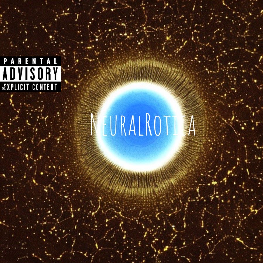 The Fascinating Phenomenon of Hearing and Seeing Differently from Each ...