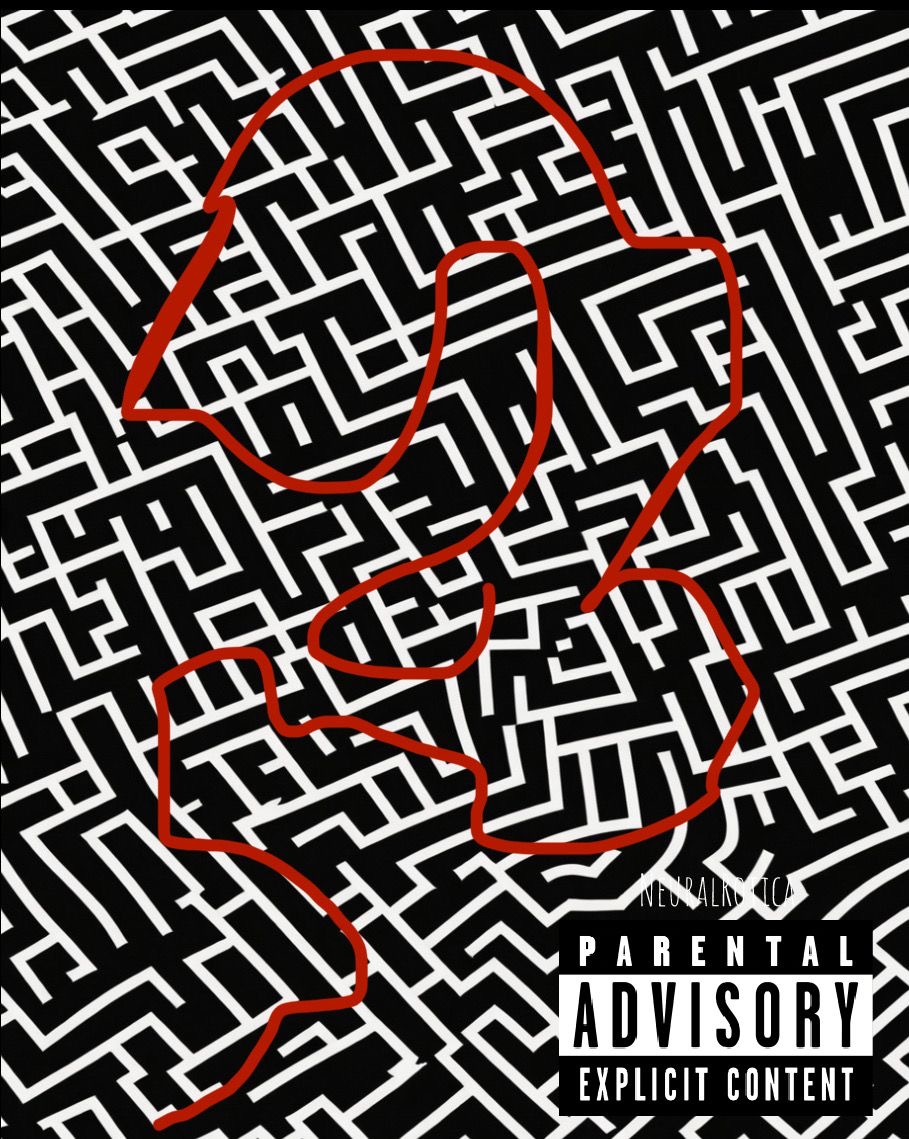 The Art of Distraction – Navigating the Maze of Modern-Day Fuckery ...